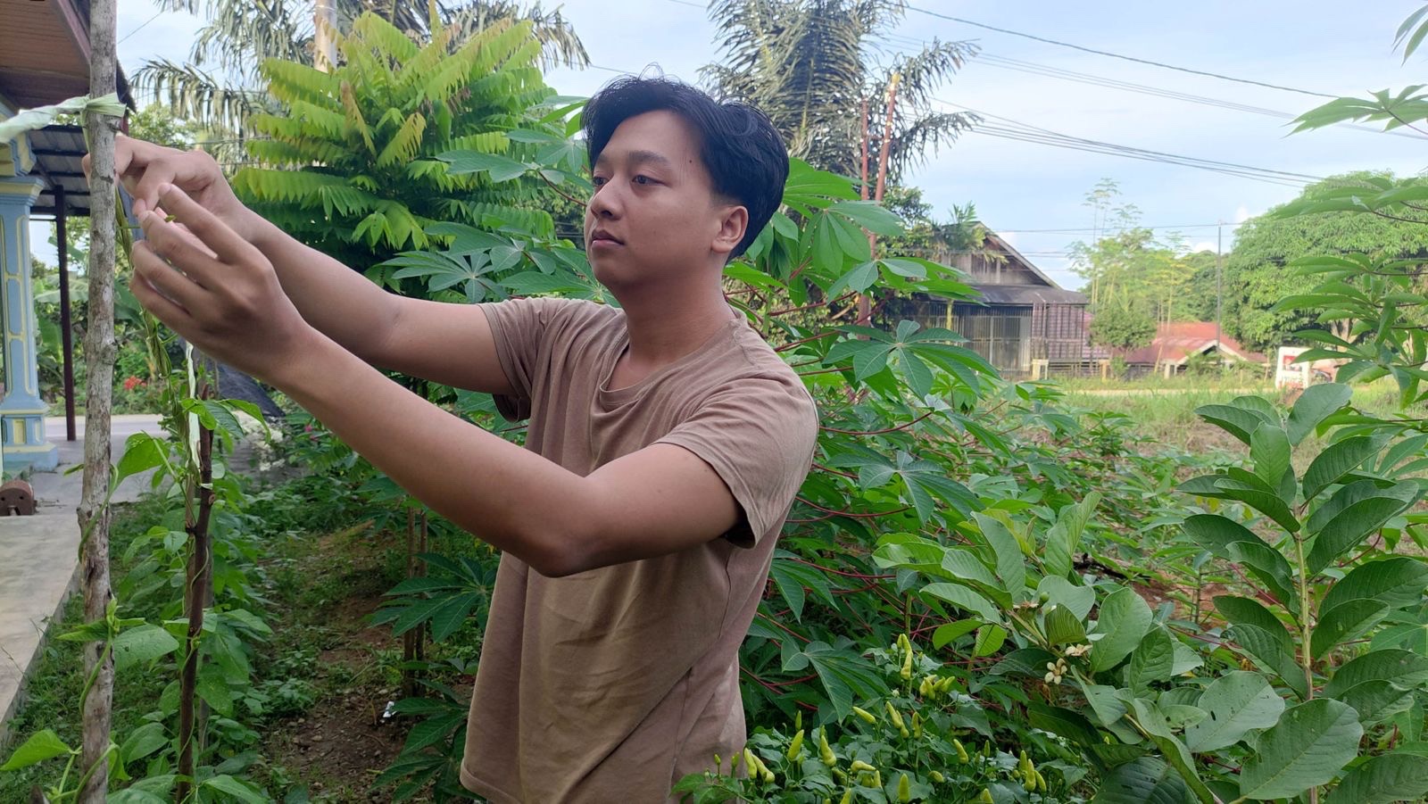 Jadi Ladang Usaha, Petani Milenial Tenggarong Manfaatkan Lahan Kecil ...